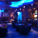 Denver Aquarium - The Dive Lounge - Jefferson Park - Denver, CO