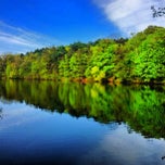 Krumme Lanke - Zehlendorf - Berlin