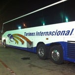 Turimex Internacional - Southwest Dallas - Dallas, TX