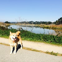 Lake Merced Run Loop - Lakeshore - 9 tips from 402 visitors