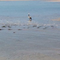 Three Rooker Island - Dunedin, FL