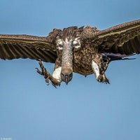 Lake Manyara National Park