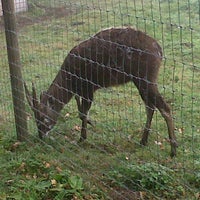 Yorkshire Wildlife Park - Zoo in Doncaster
