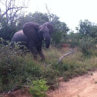 Kruger National Park - Phabeni Gate - 3 tips from 432 visitors
