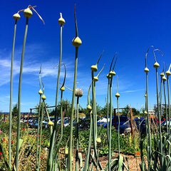 Intel - Jones Farm Campus - Office in Northwest Hillsboro