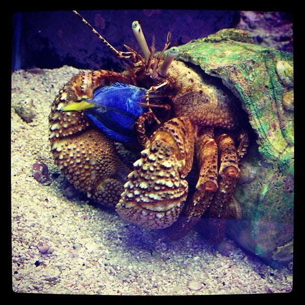 Seascape Studio - 1 tip