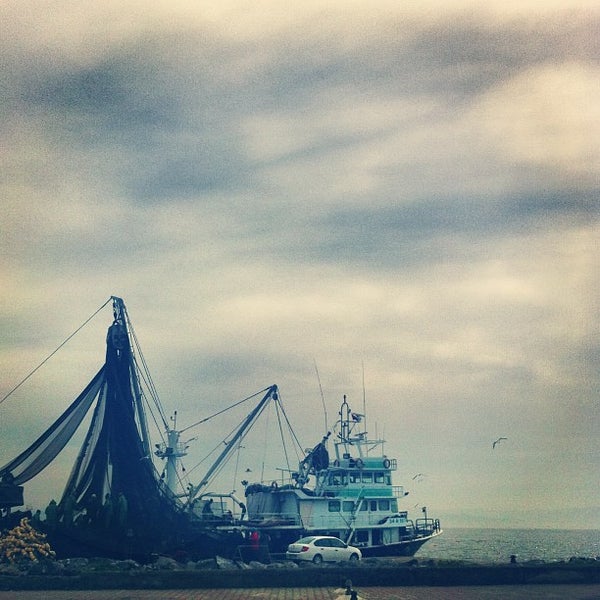 Tuzla Sahili - Postane - 547 tips