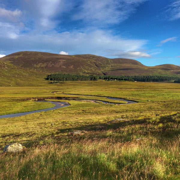 Hilton Grand Vacations at Craigendarroch Suites - 5 tips