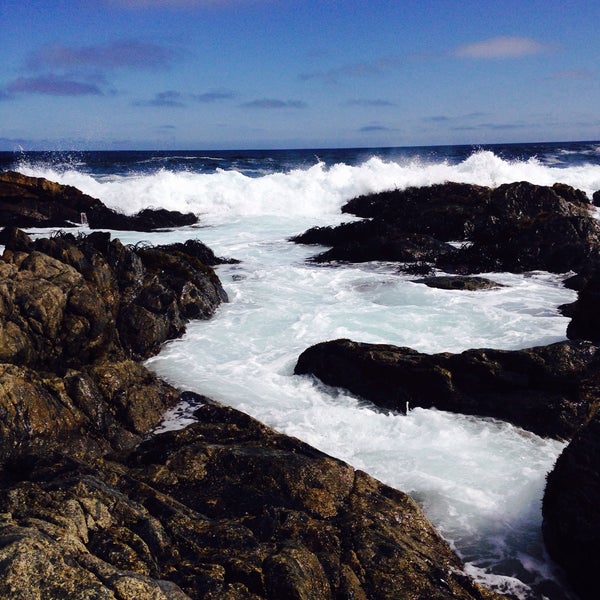 Isla Negra
