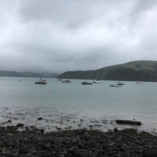 Akaroa Harbour - Akaroa, Canterbury