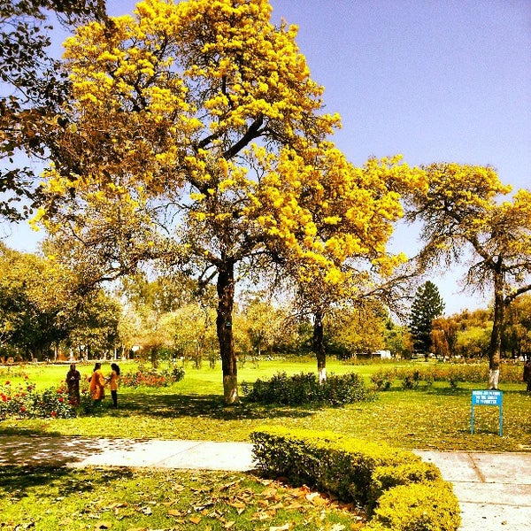 Rose Garden - Garden in Chandigarh
