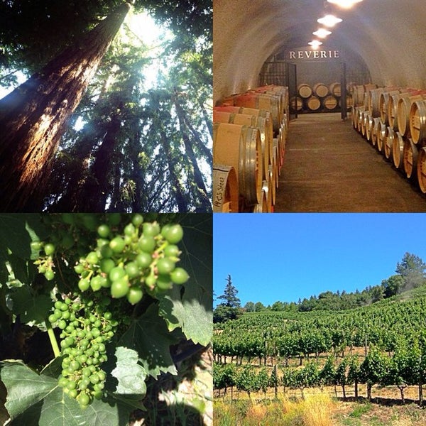 Reverie Winery & Vineyard - 8 tips from 186 visitors