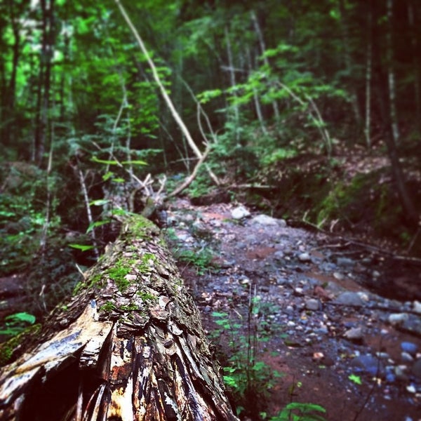 Big Ravine Hiking Trail - Bayfield, WI
