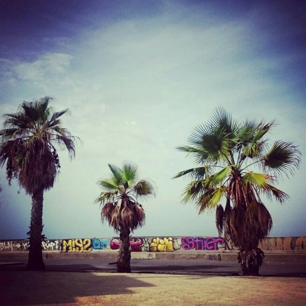 Playa de Poniente Almerimar