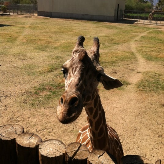 Wildlife World Zoo And Aquarium - 49 tips from 2981 visitors