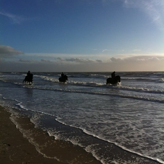 Strand Zoutelande - Beach in Zoutelande