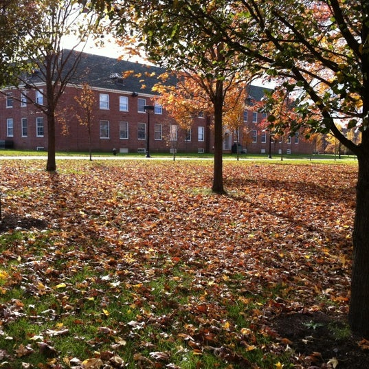 College Of Staten Island - Willowbrook - 24 tips from 1745 visitors