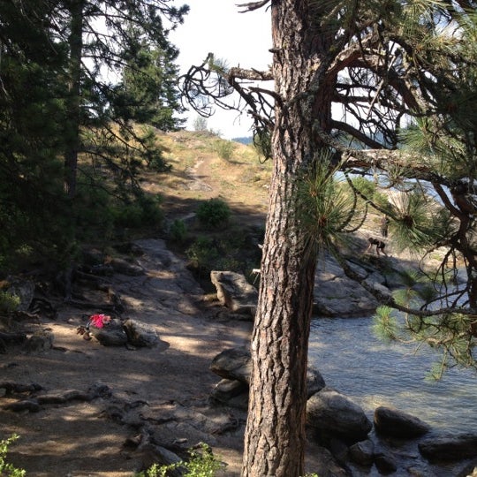 Tubbs Hill - Trail in Coeur d'Alene