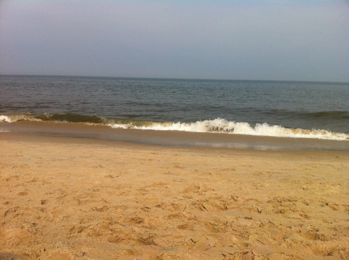 Poodle Beach Photos - GayCities Rehoboth Beach