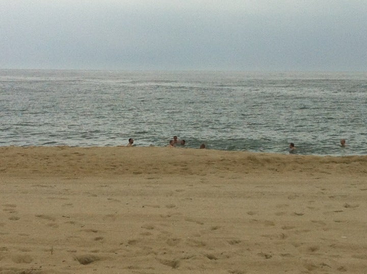 Poodle Beach Photos - GayCities Rehoboth Beach